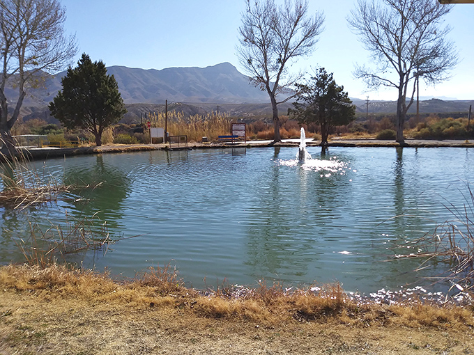 Ralph Edwards Park's serene pond creates an oasis effect, complete with fountain and mountain views that soothe the soul.