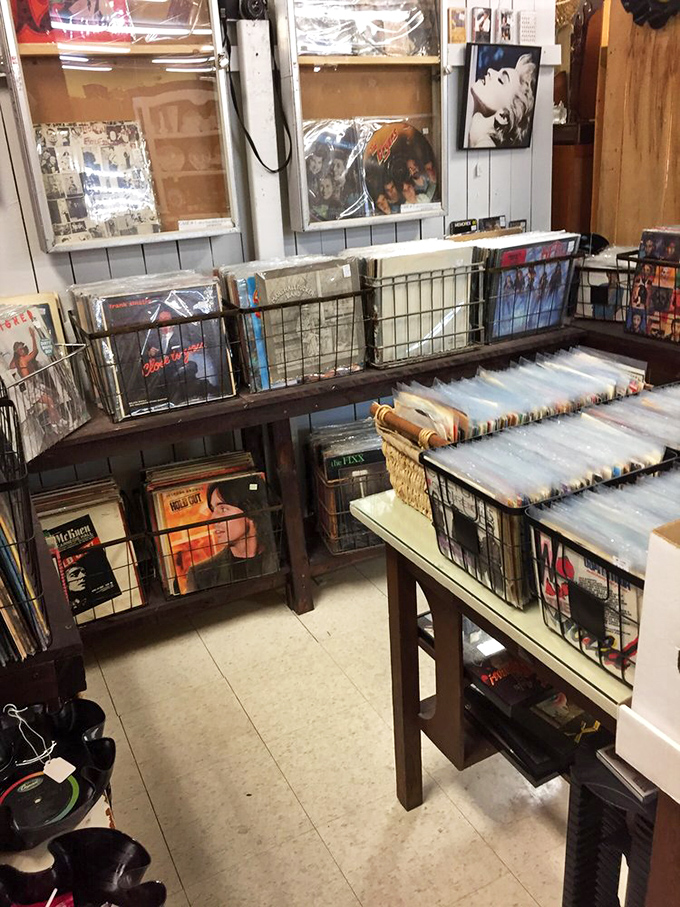Vinyl heaven for music lovers! These record bins hold forgotten soundtracks and one-hit wonders waiting to spin tales of decades past.