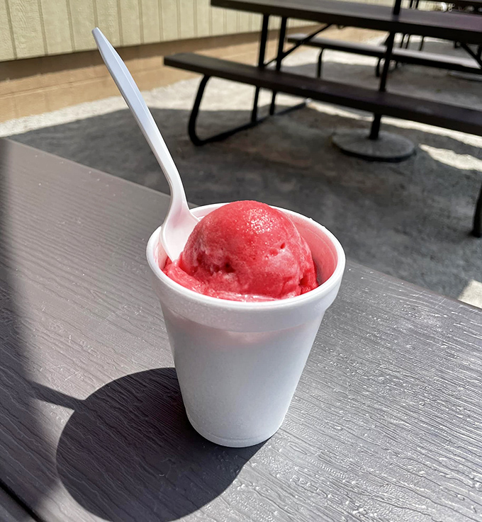 Raspberry sorbet that captures summer in a cup. This vibrant scoop isn't just refreshing&mdash;it's what your taste buds have been dreaming of all winter.