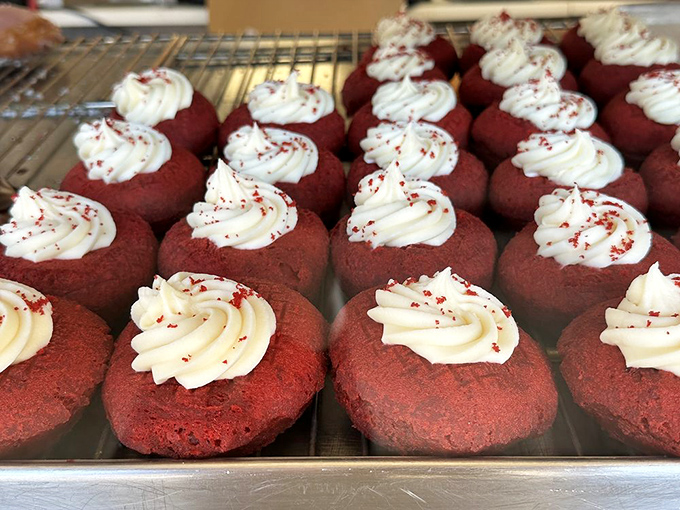 Red velvet donuts with cream cheese frosting: proof that sometimes the classics deserve a little makeover, like Sinatra singing with a rock band.