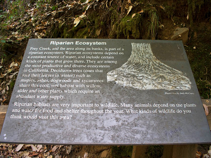 Educational signage that reminds us we're just visitors in a complex ecosystem&mdash;nature's version of "please respect the house rules."