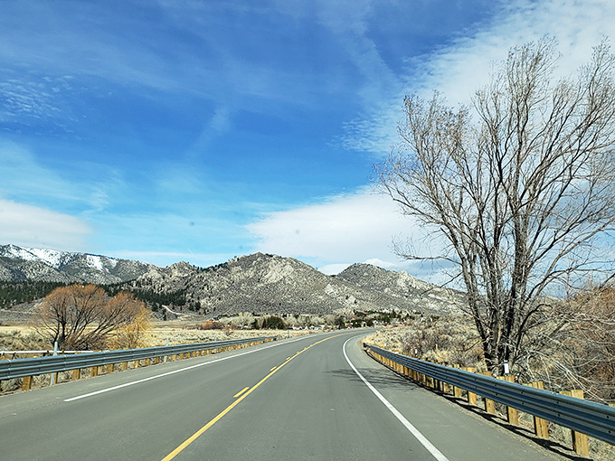 The road to Genoa isn't just a drive; it's a scenic decompression chamber between modern chaos and frontier tranquility.