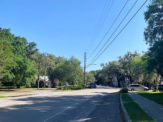Micanopy's quiet streets, lined with ancient oaks and absent of traffic lights, remind you that some places still value serenity over speed. 