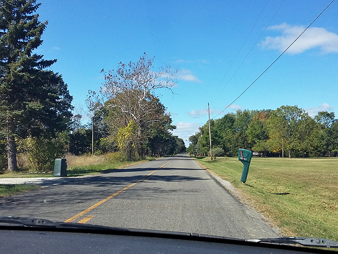 Country roads leading to Medina offer the kind of peaceful drive that makes you turn off the podcast and just enjoy the silence. No traffic jams, just trees and sky.
