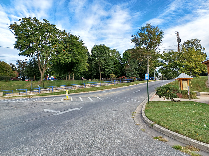 Tree-lined streets and thoughtful urban planning make even a simple drive feel like you're starring in your own small-town movie montage.