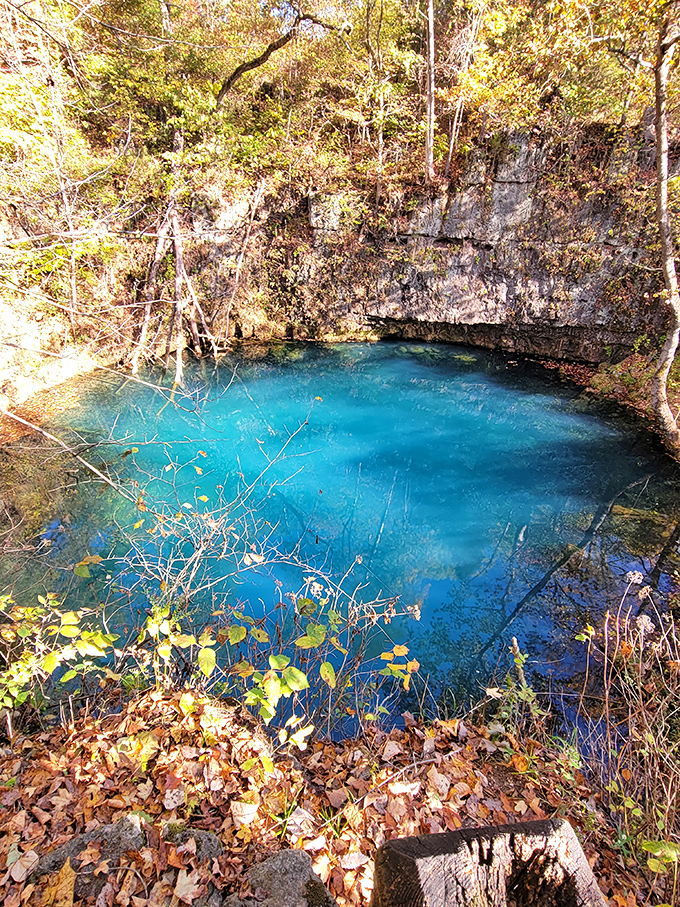 Blue lagoon, Missouri style! This impossibly turquoise spring looks like it was plucked from the Caribbean and dropped into the Ozark hills.