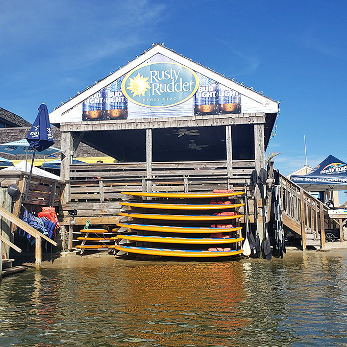 The Rusty Rudder's weathered charm and stacked surfboards promise bayside dining where seafood tastes fresher over water.