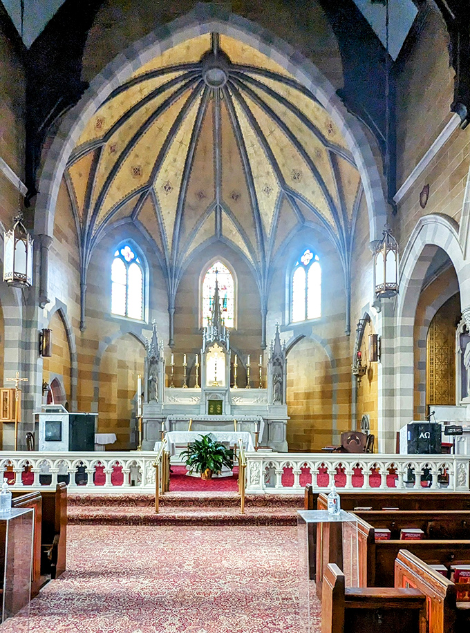 St. Bernard's Catholic Church's soaring ceiling and stained glass windows create a sanctuary of light and shadow that transcends denomination.