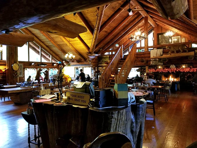 The host station carved from a massive stump sends a clear message: subtlety isn't on the menu, but authenticity and character certainly are.