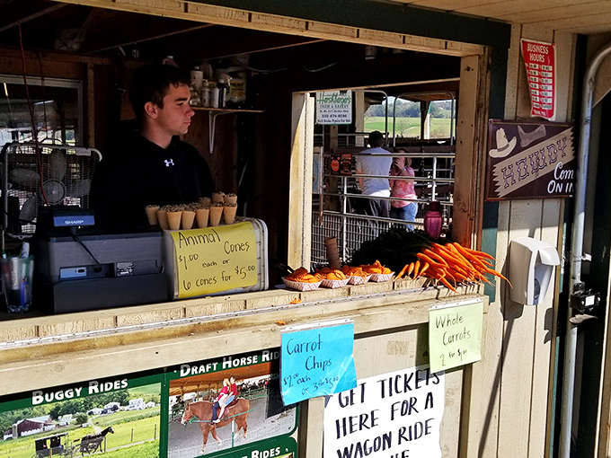 Behind every great farm stand is someone offering carrot chips and animal cones, turning simple vegetables into memorable experiences for visitors of all ages.