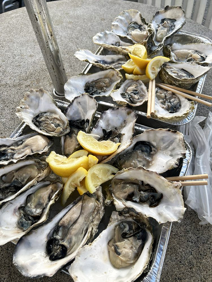 Oysters arranged like jewelry in a treasure chest. Nature's perfect appetizer requires nothing more than a squeeze of lemon and appreciation.