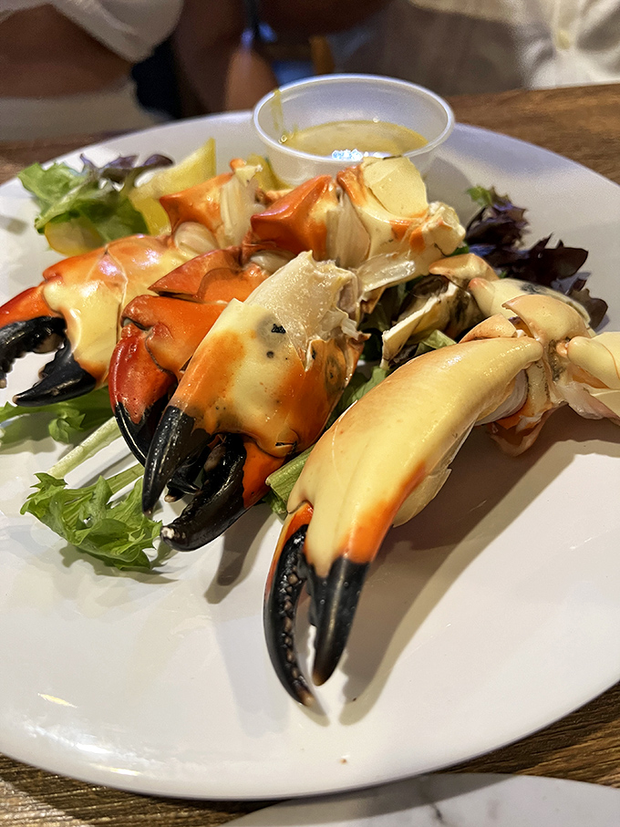 Stone crab claws arranged like a still-life painting you can eat. Sweet, delicate meat that makes you understand why Floridians count down to stone crab season. 