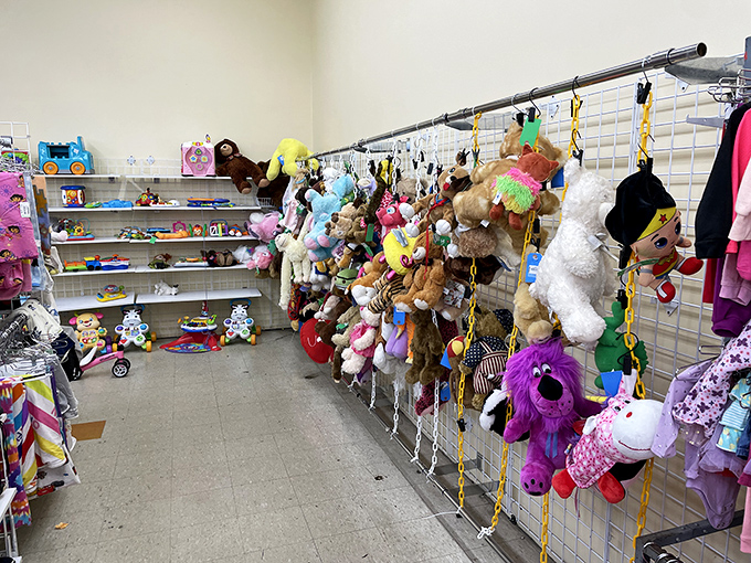 Stuffed animals hang like the world's cuddliest fruit, ready to bring joy to children or nostalgic adults alike.