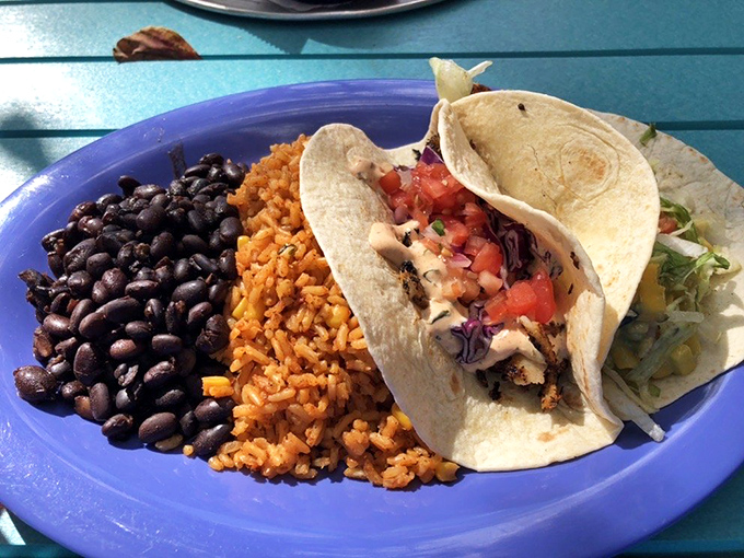 Tacos, rice, and beans: the holy trinity of satisfaction arranged on a blue plate that makes Tuesday feel like Friday.