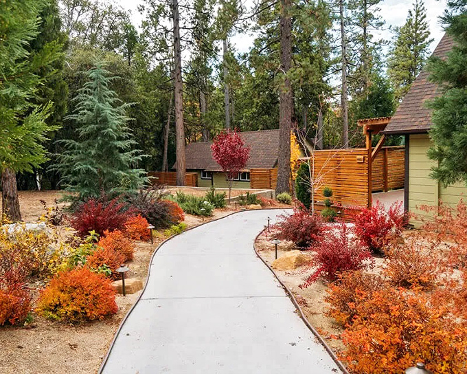 Fall colors paint this pathway with nature's confetti, creating a walkway that would make even the most dedicated city-dweller consider mountain living.