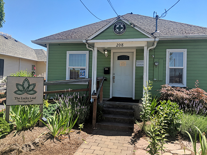 The Lucky Leaf's cottage-like charm makes it look like the kind of place where herbal remedies and friendly advice flow in equal measure.