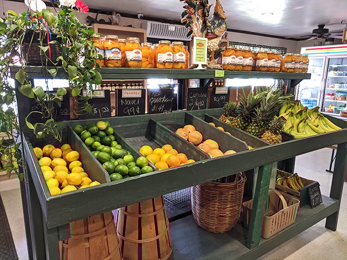 Tony's Produce Market showcases Florida's bounty in living color &ndash; where citrus practically jumps into your shopping basket.