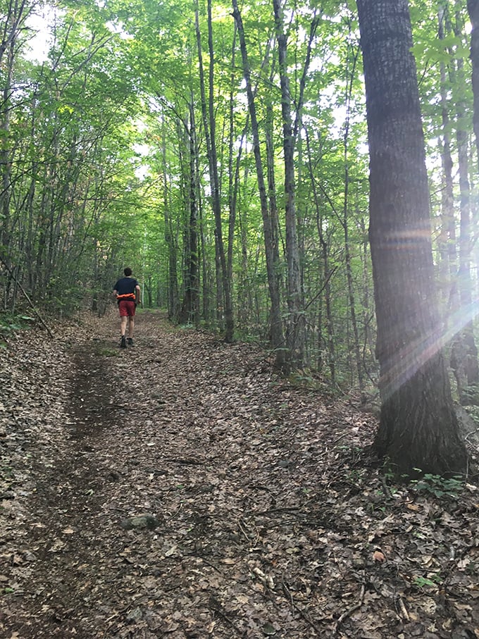 Some therapy sessions cost hundreds per hour&mdash;this one just requires comfortable shoes and an appreciation for dappled sunlight through maple trees.