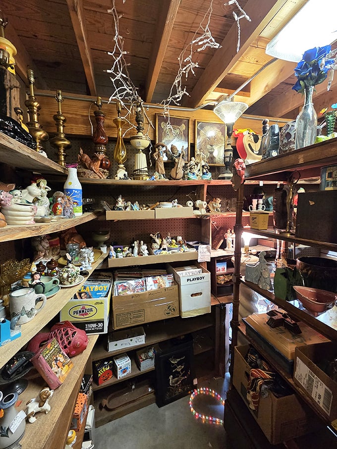 The organized chaos of a true collector's booth. One person's random assortment is another's perfectly curated cabinet of curiosities.