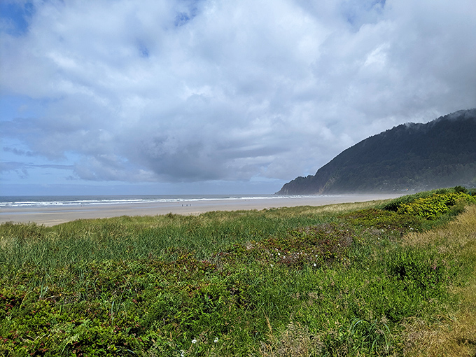 Where coastal prairie meets sandy shore, with Neahkahnie Mountain standing guard like Oregon's version of a benevolent sea monster.