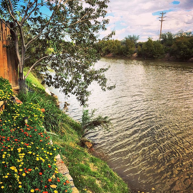 Wildflowers and water create a riverside oasis. The Rio Grande flows gently past, inviting contemplation and maybe an impromptu picnic.