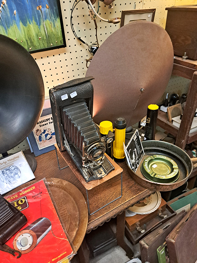 Vintage cameras and ephemera whisper stories from another era. That folding Kodak probably captured someone's treasured memories decades ago.