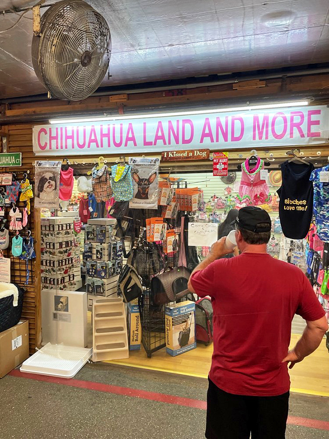 Chihuahua Land and More perfectly captures the beautiful randomness of flea markets. The "and More" is doing some heavy lifting here.