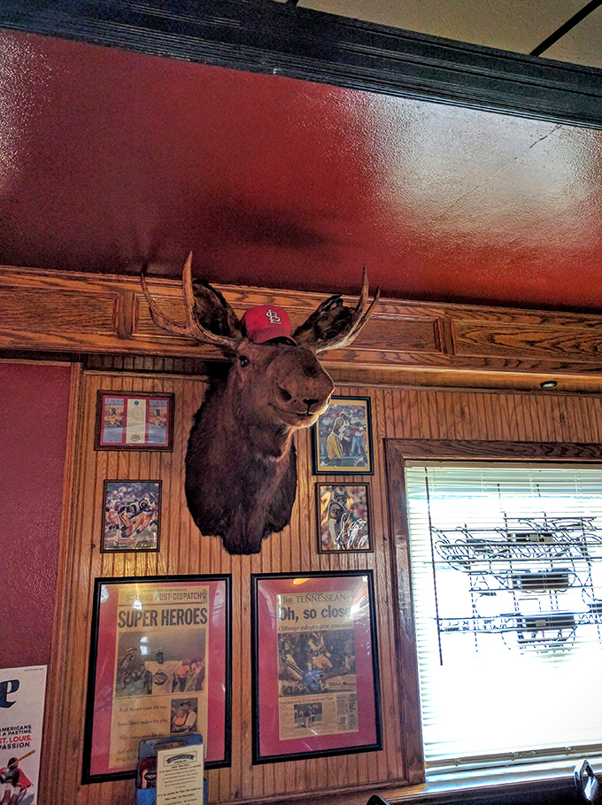 Even the moose wears Cardinals gear. In St. Louis, baseball isn't just a sport&mdash;it's practically a religion with better snacks.
