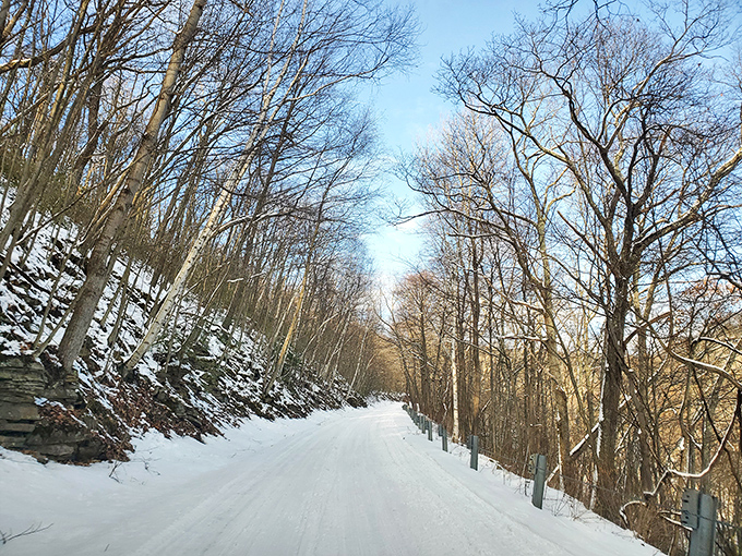 Winter's quiet transformation. The snow-covered road whispers promises of solitude and that special silence only found after a fresh snowfall.