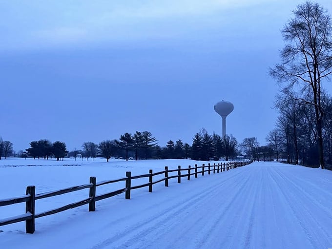 Winter blankets Nappanee in pristine white, creating postcard-perfect scenes that make even the coldest days feel somehow warmer and more inviting.