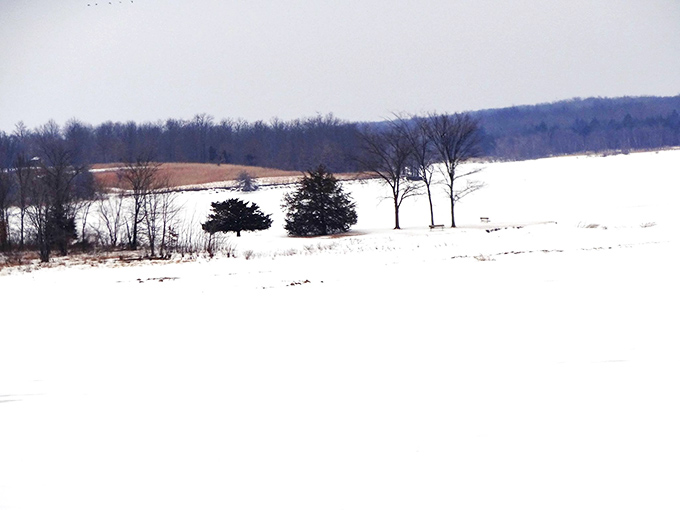 Winter transforms the landscape into a serene snow globe scene. Same park, completely different experience, equally magical.