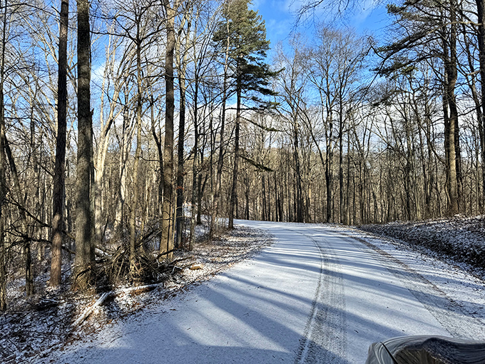 Winter's quiet magic transforms familiar paths into pristine wonderlands where your footprints might be the first of the day.