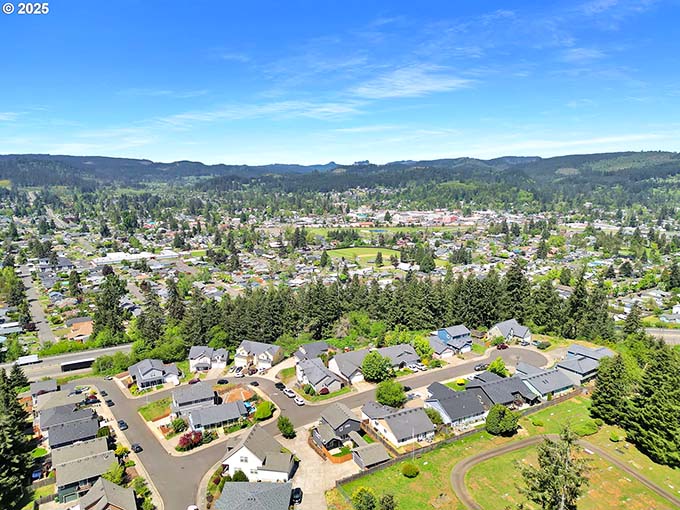 From above, Cottage Grove reveals itself as a perfect patchwork quilt of homes, forests, and community&mdash;like someone designed a town based on everyone's childhood memories.