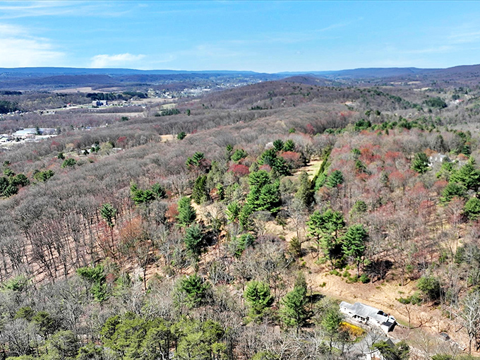 Rolling hills and scattered homesteads showcase Orwigsburg's greatest luxury: space to breathe without the premium pricing of crowded suburbs.