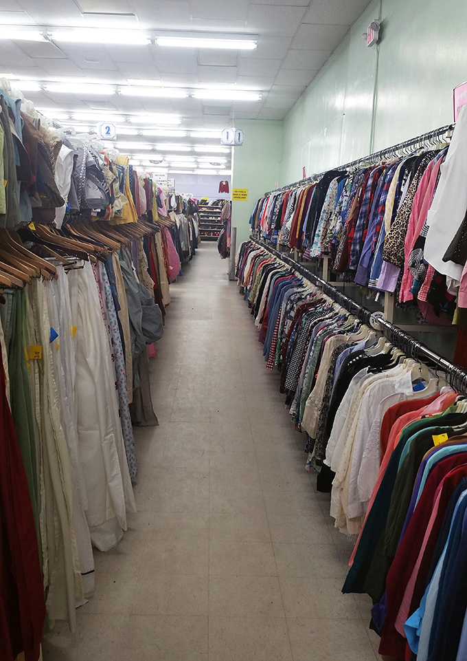 Endless racks create a textile canyon where patient explorers can discover designer labels hiding among everyday brands.