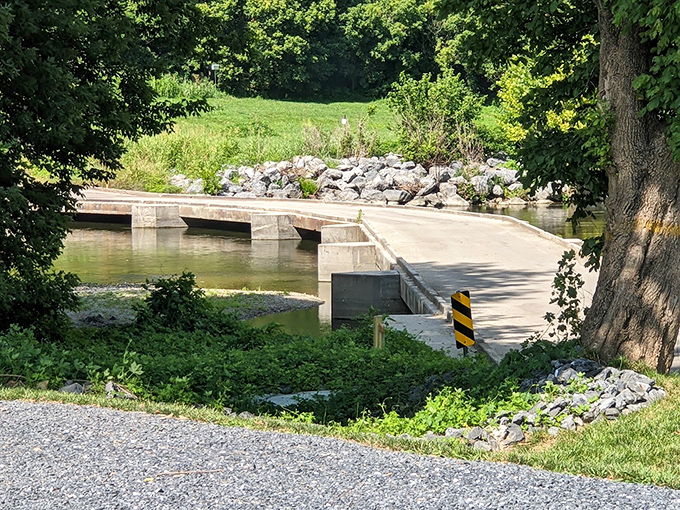 Concrete spans built for function but somehow managing to blend gracefully with their natural surroundings.