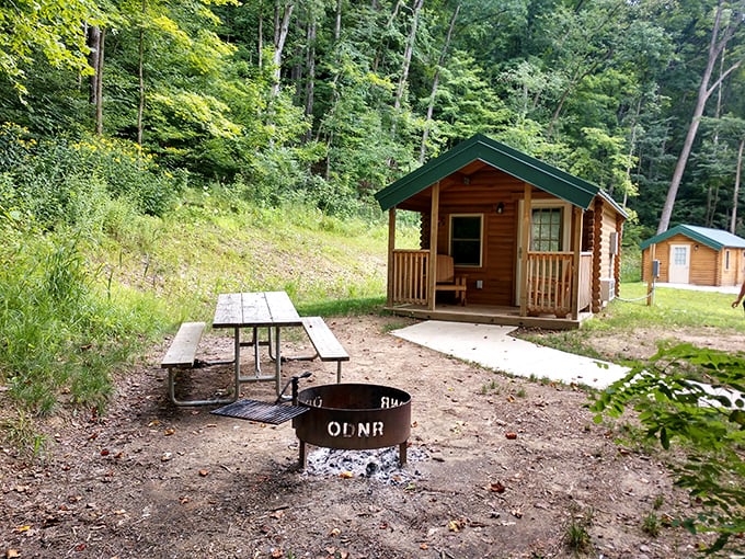 Rustic cabins offer camping's pleasures without sleeping on the ground. That fire pit is practically begging for s'mores and ghost stories.