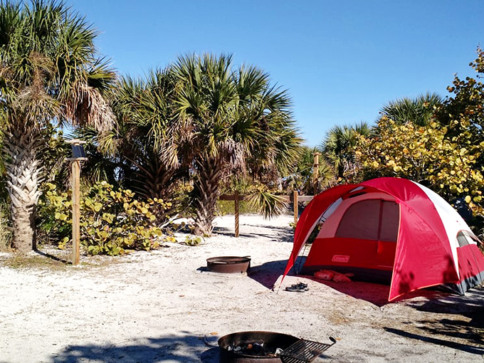 Beachfront real estate without the neighbors. This tent spot offers sunset views that millionaires would trade their stock portfolios for.