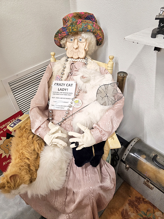 The "Crazy Cat Lady" display acknowledges the stereotype with a wink and a nod that says, "Yes, and what about it?"