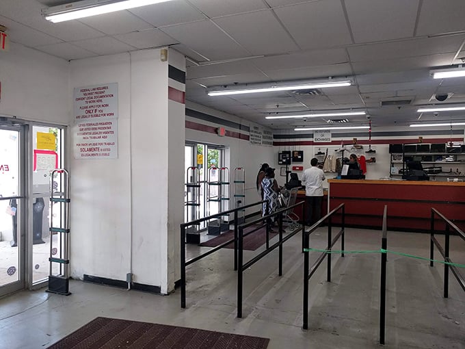 The checkout area: final gateway between you and your newfound treasures. The moment of truth where you'll discover just how much bargain hunting success you've achieved.