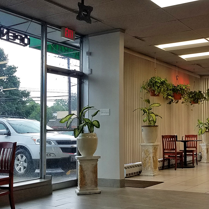 Plants frame the entrance, creating that moment of transition between the outside world and the comfort zone of breakfast possibilities.