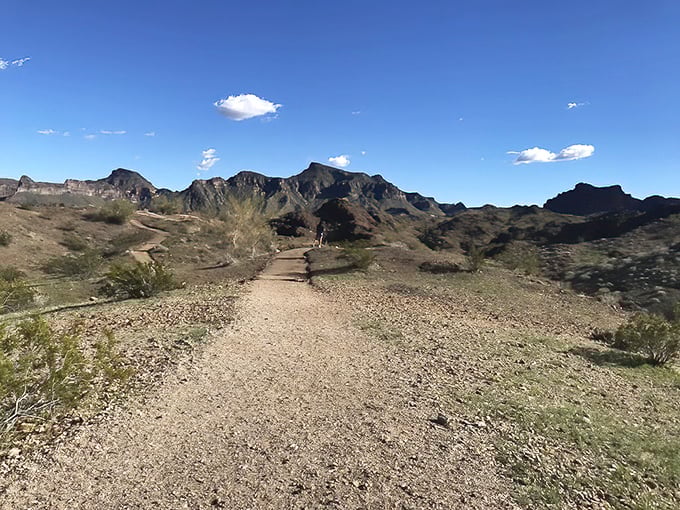 Hiking trails wind through terrain so photogenic, your camera roll will need serious storage space expansion.