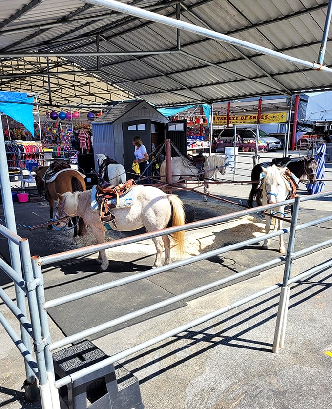 Ponies wait patiently for their next adventure, adding unexpected charm to this sprawling marketplace experience.
