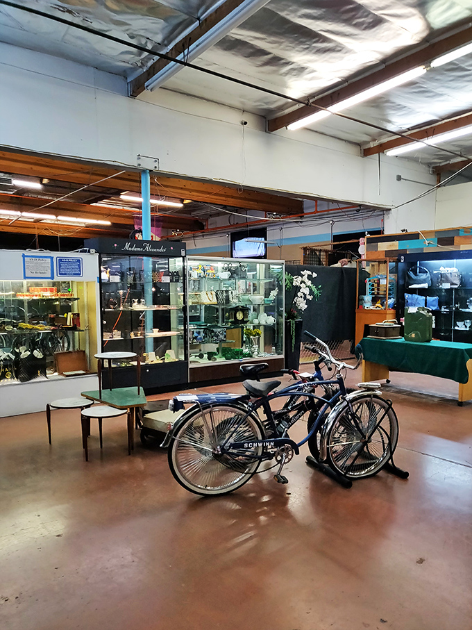 The vast interior stretches endlessly, creating shopping possibilities that could occupy an entire weekend of exploration.