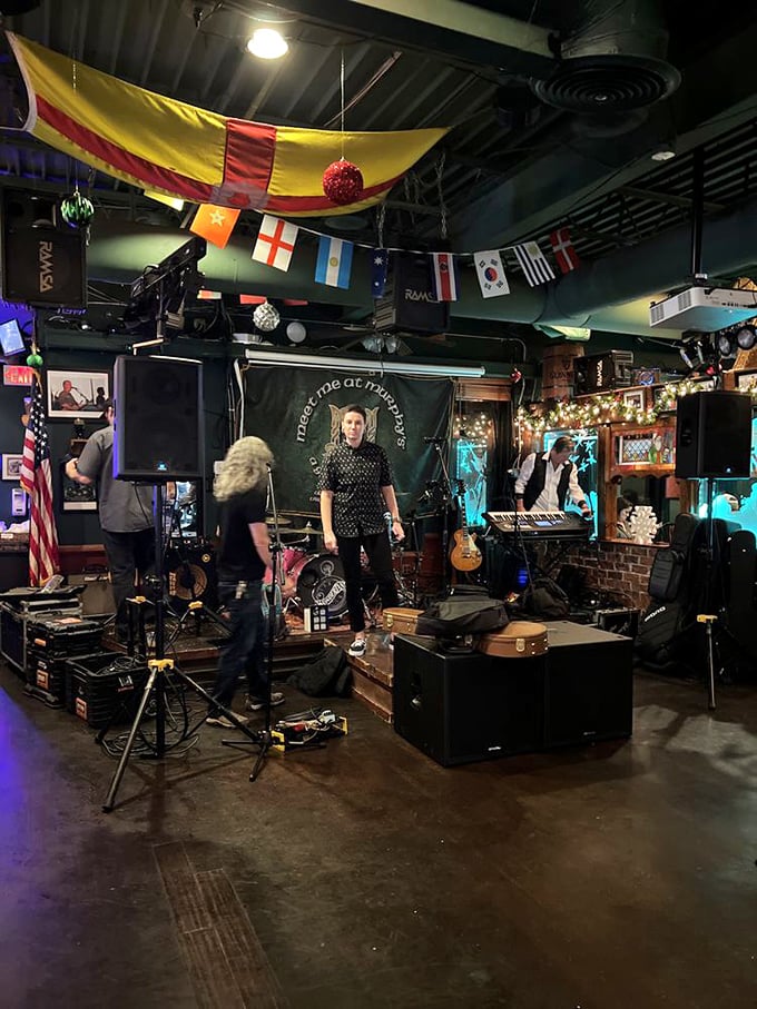 Live music transforms ordinary evenings into memorable nights where strangers sing along like old friends.