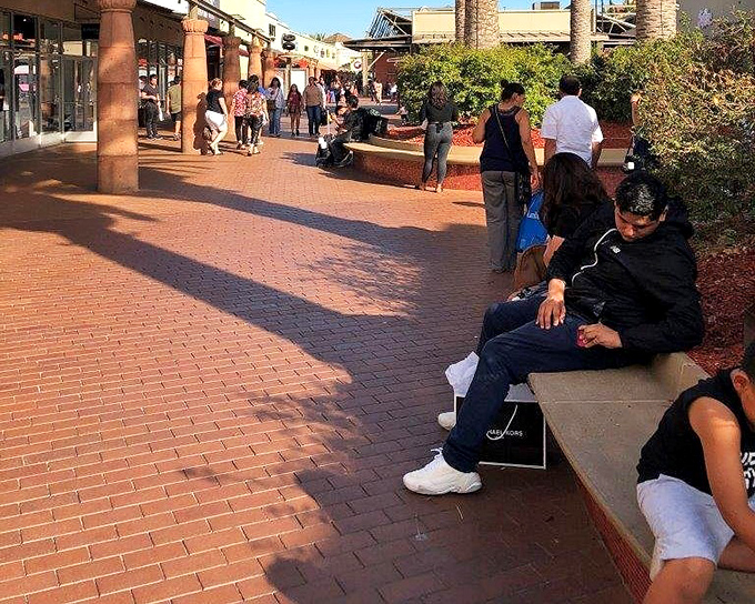 Sun-drenched walkways and strategic palm trees create the illusion you're shopping in a resort, not just off the 5 freeway.