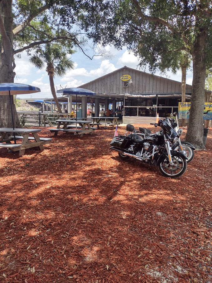 Motorcycles rest in the shade while their riders feast inside&mdash;Lone Cabbage is where road warriors and water warriors find common ground.
