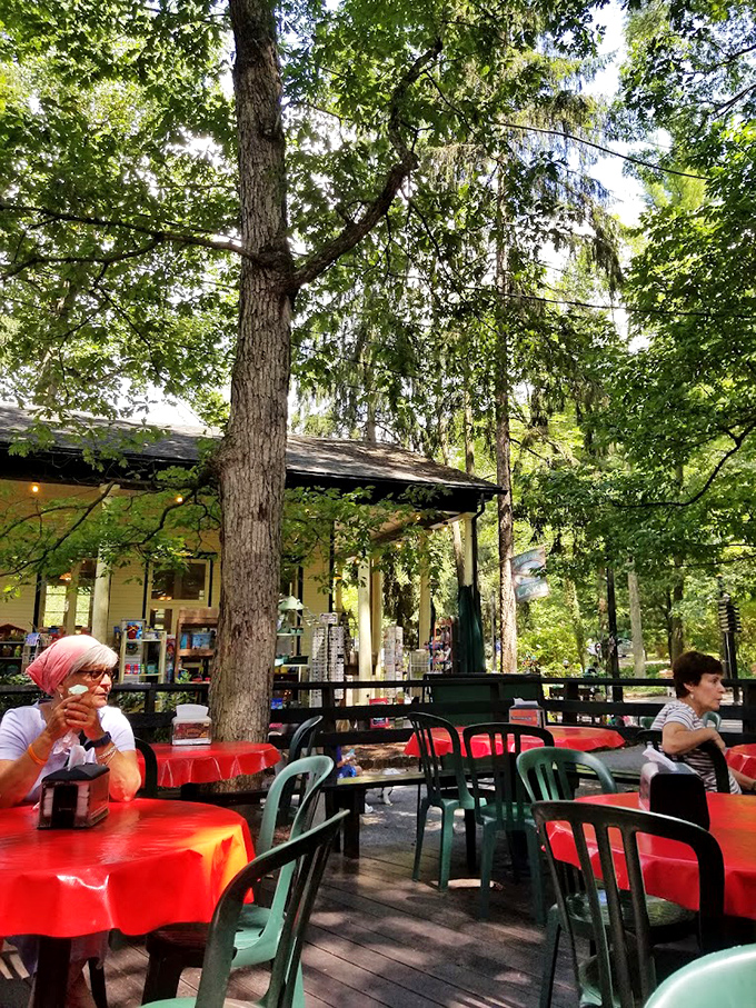 The dappled sunlight filtering through towering trees creates nature's perfect lighting for both ice cream enjoyment and impromptu vacation photos.