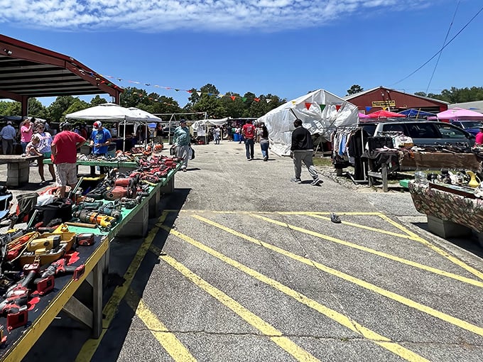 Sun-drenched shopping at its finest! Tools, gadgets, and household items bask in Georgia sunshine, waiting for savvy shoppers to give them new homes.