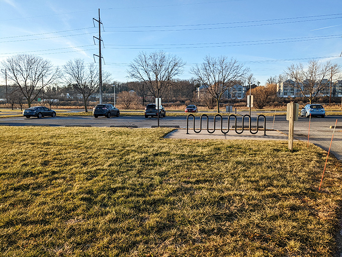 Parking spaces that promise adventure just steps away. Your car waits patiently while you explore, knowing you'll return with slightly muddier shoes.